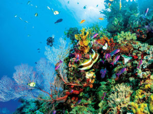 Top 10 Honeymoon Destinations in Australia - SMART HOLIDAY SHOP